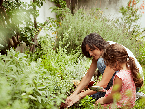 Reworld by the Numbers | Reworld