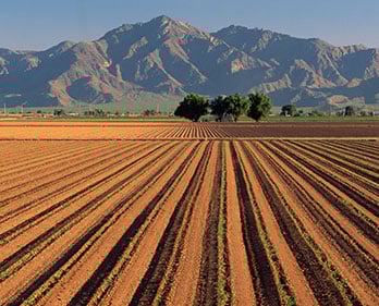 Agricultural Waste Management Solutions - Reworld